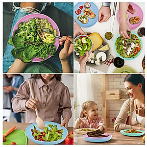 PTNITWO Lightweight Wheat Straw Plates,Plastic Plates Reusable,Unbreakable Deep Dinner Plates, Assorted Colors Dinnerware Sets,Dishwasher Safe