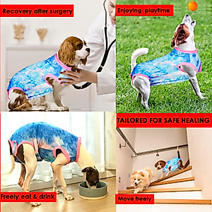 Wabdhaly Dog Surgery Recovery Suit for Small Female Spay,Anti Licking Dog Surgical Recovery Onesie,Tie Dye Blue Pink XS