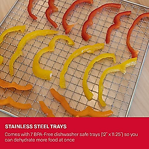 NESCO FD-7SSD Digital Food Dehydrator for Beef Jerky, Dried Fruit and Dog Treats, 7 Stainless Steel Trays, Silver