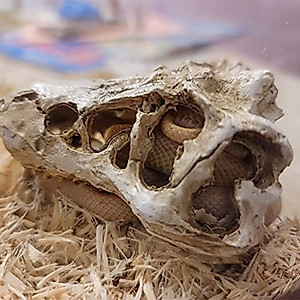 Hamiledyi Bearded Dragon Tank Accessories Reptile Dinosaur Skull Hideout Decor Reptile Climber Jungle Vines Artificial Leaves for Iguana Lizard Chameleon Snake Frog Gecko Frogs(3 PCS)
