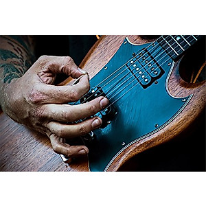 D'Andrea Snarling Dog Brain Nylon Guitar Picks 12 Pack with Tin Box (Purple, 0.60mm)