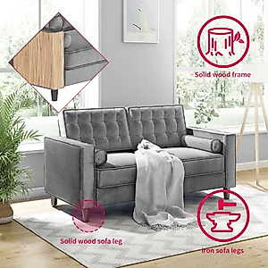 MUZZ Velvet Loveseat Sofa, Modern Upholstered Love Seat Sofa with Tufting-Bolster, Love Seat Furniture for Small Spaces, Living Room, Bedroom, Office(Grey)