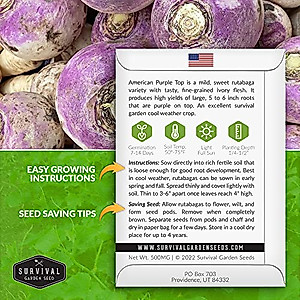 Survival Garden Seeds - American Purple Rutabaga Seed for Planting - Packet with Instructions to Plant and Grow Brassica Napus in Your Home Vegetable Garden - Non-GMO Heirloom Variety