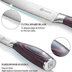 PAUDIN Carving Knife 8 inch, Ultra Sharp Brisket Slicing Knife, Premium Meat Cutting Knife German Stainless Steel, BBQ Knife with Ergonomic Handle, for Slicing Roast, Meats and Vegetables