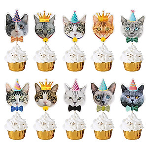 42pcs Cat Birthday Party Decoration Set, Cat Face Banner Latex Balloons Kitten Happy Birthday Cake Cupcake Toppers for Meow Kitty Theme Birthday Party Supplies
