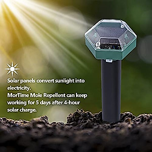 MorTime Solar Powered Mole Deterrent Spikes Outdoor Ultrasonic Groundhog Gopher Vole Deterrent for Lawn Garden Yard (4pc Hexagon)