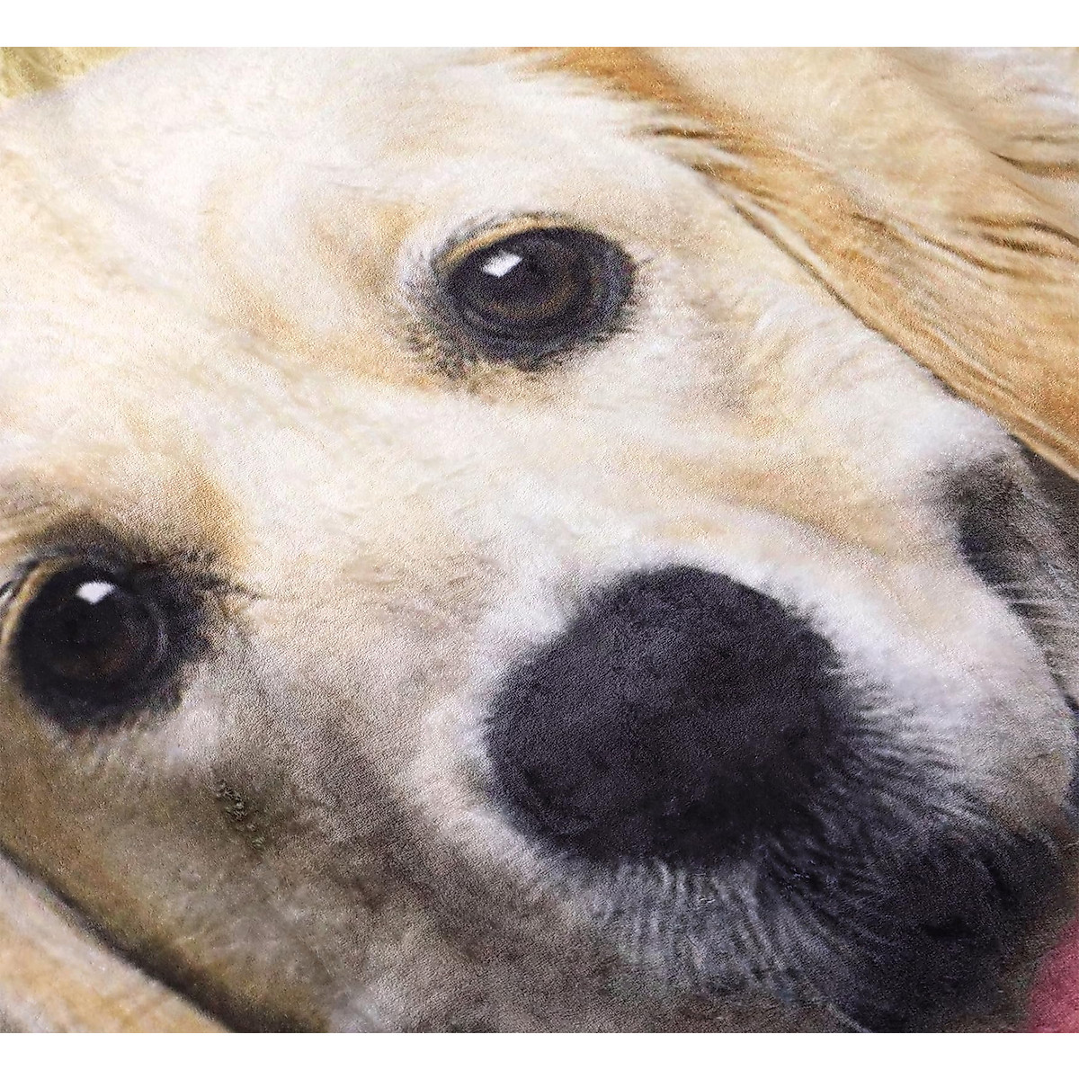 Zevrez Golden Retriever Blanket, Cute Golden Retriever Gifts Kids Throw Blanket with Dog on It Soft Flannel Blanket Gift for Golden Retriever Lovers Boys Girls Sofa Bed 48"x60"