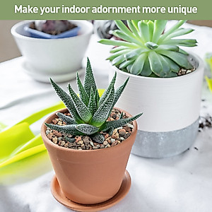 GASPRO 5lbs Lava Rocks for Plants, 1/5 Inch Pea Gravel for Succulent, Pots Indoor, Terrarium, Cactus, Bamboo, Bonsai Tree, Top-Dressing, Mixed Color Volcanic Rocks, Good Drainage