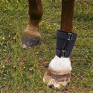 Coronet Fetlock Shield for Horse Neoprene Bedsore Boot Fetlock Sores Protector Single