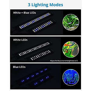 NICREW AquaLux White and Blue LED Aquarium Light, Intensity Adjustable Freshwater Fish Tank Light with 8/10/12 Hours Timer, Sunrise and Sunset Function, 12-18 Inch, 6 Watts