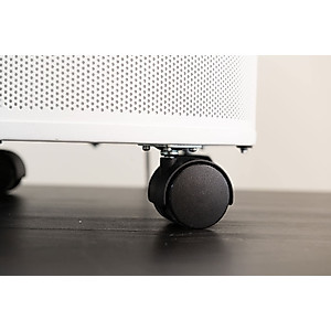 Airpura I600 Hepa Air Purifier for Home Helps to Eliminate Thousands of Airborne Particles & Odors Leaving Only Clean & Fresh Air - White