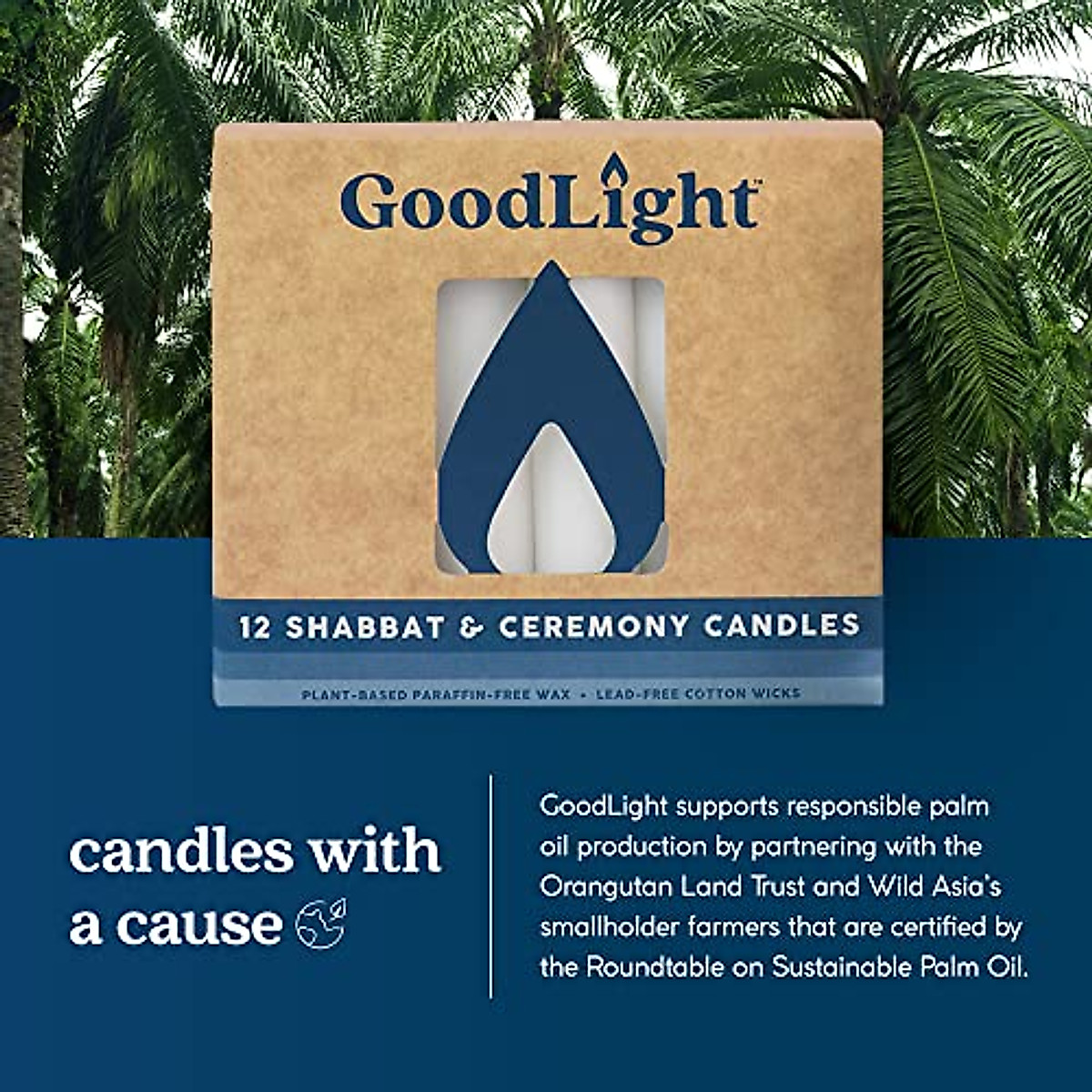 Paraffin-Free Shabbat and Sabbath Ceremony Candles, Made from Vegan Palm Wax, Jewish Shabbat Candles, 3-Hour Burn Time (12 Unscented Shabbos Candles, White)