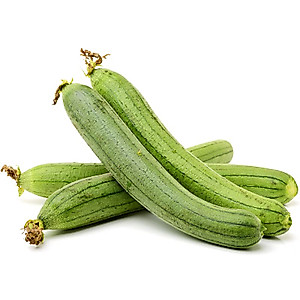 Super Long Luffa Seeds, 10 Seeds Asian Vegetable Seeds Garden Planting