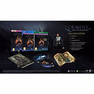 Torment: Tides of Numenera (PS4)