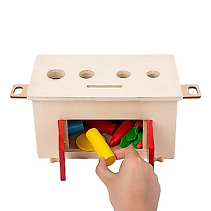 Adena Montessori 4-in-1 Play Kit Box for Infants,Toddlers and Babies 6-12 Months, 1 Year, 2 Year and 3 Year- Includes Coin Box, Cylinder & Carrot Drop Box, and Blind Touch Perception Box with Door