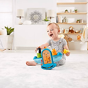 Fisher-Price Stack and Rattle Birdie, Stacking Toy with Rattle Beads for Babies Ages 6 Months & up