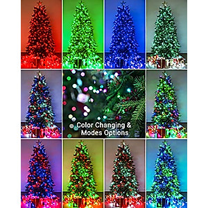 Flacchi Color Changing String Lights with Remote Control/Timing Function/Indoor & Outdoor RGB 105Ft 300LED Christmas Lights for Halloween, Christmas Decor, Garden, Party, Xmas Decorations
