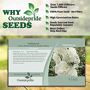 Outsidepride Perennial Alcea Rosea Chaters Double White Hollyhock Garden Flower Climbing Vine Plants - 100 Seeds