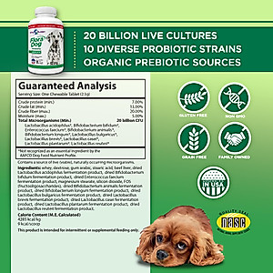 Vital Planet - Flora Dog Probiotic Chewable Tablets Supplement with 20 Billion Cultures and 10 Strains, High Potency Immune and Digestive Support Probiotics for Dogs, 60 Beef Flavored Chewable Tablets