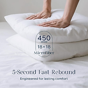 Phantoscope 18 x 18 Pillow Inserts, Set of 4 Hypoallergenic 100% Virgin Fiber Square Form Decorative Throw Pillow Inserts, Made in USA Couch Bed Pillows - 18 inches