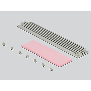 DeLOCK U.2 SFF-8639 to M.2 NVMe Key M/U.2 SFF-8639 Mounting Frame Converter with