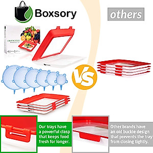 BOXSORY Food Preservation Trays - New Version 2021, Stackable, Reusable and Odor Free - Dishwasher Safe Refrigerator Storage Tray (4pcs) + Stretch Lids (6pcs)