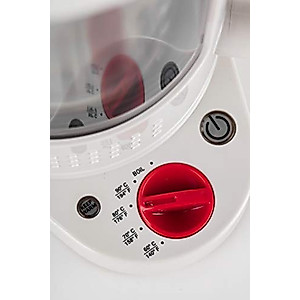 Bodum 11659-913US Bistro Electric Water Kettle, double Wall with Temperature Control, 1L, 37 oz, White