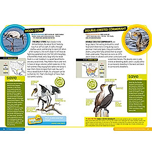Ultimate Explorer Field Guide: Birds