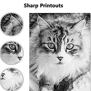 MYSEC Waste Cartridge Compatible 78C0W00 Waste Toner Box Replacement for Lexmark CS321CS421dn CS514 CS421 514 CX421 CX522 CX622 Printers