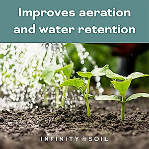 Infinity Soil - Earthworm Castings - Sustainable & Natural Soil Amendment - 0.6-0.7-0.2 NPK - Enhance Soil with Living Microbes and Micronutrients - 1 LB