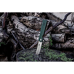 Firebird GANZO FH11 Top Pocket Folding Knife D2 Steel Blade Anti-slip G10 Handle with Clip Hunting Gear Fishing Camping Outdoor Folder EDC Pocket Knife (Green)