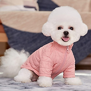 Small Dogs Winter Warm Coat, Water-Resistant Fleece Puppy Vest, High Collar Warm Padded Rainproof Snowsuit, Lightweight Outdoor Windproof Dog Clothes with Zipper and D Ring, Doggie Puffer Jacket