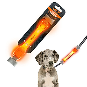 LaRoo Light Up Dog Collar with Nylon Stickers, Universal Glowing Collar Accessories for Leash Harness, Silicone Waterproof Dog LED Flashing Collar Night Outdoor Safety