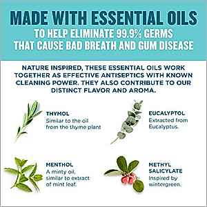 Listerine Cool Mint Antiseptic Mouthwash for Bad Breath, Plaque and Gingivitis, 250 ml