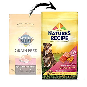 Nature′s Recipe Grain Free Salmon, Sweet Potato & Pumpkin Recipe Dry Dog Food, 4 lb. Bag