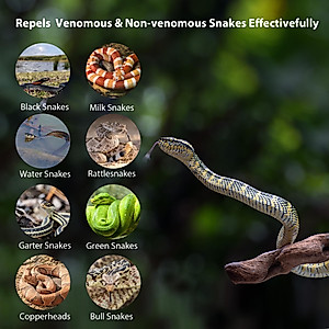 Homsor Snake Repellent Pet Safe 10 Pack Powerful Snake Away Repellent for Outdoors Indoor Yard House Camping Lawn Natural Snake Be Gone Balls to Keep Snakes Away from Your Family