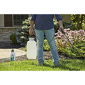 Roundup For Lawns2 Concentrate (Northern), 32 oz. - Lawn Safe Weed Killer for Northern Lawns, Kills Crabgrass, Dandelion, Clover and Yellow Nutsedge - Kills Weeds, Not the Lawn