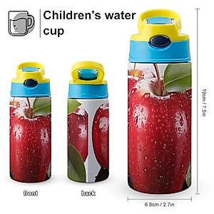 Stainless Steel Water Bottles Red Apple Fruit Travel Water Cups with Handle And Silicone Straw Drinking Cup with Leak Proof Lid Thermo Travel Mug for Women Men