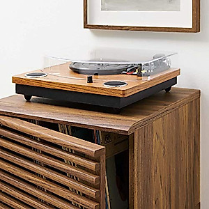 Modway Render Mid-Century Modern 19" Vinyl Record Display Stand in Walnut, 19 Inch