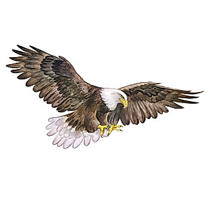 Boodecal Watercolor Painting Cool Wild Bald Eagle America Bird Wall Stickers Removable Wall Decals Peel and Stick Wall Art Decorations Home Decor for Kid Nursery Baby Bedroom Living Room Playing Room