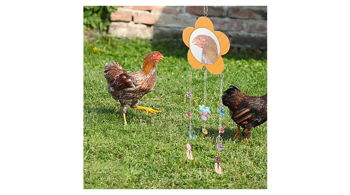 KAKUNM 6PCS Chicken Toys for Fun and Health