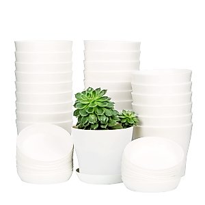 TDHDIKE 25 Pcs Plastic Planters Indoor Flower Plant Pots, Mini Flower Seedlings Nursery Pot with Pallet, Modern Decorative Gardening Containers (White, 25)