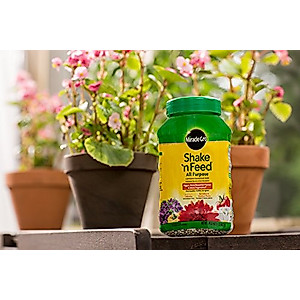 Miracle-Gro Shake 'n Feed All Purpose Continuous Release Plant Food, 1-Pound (Slow Release Plant Fertilizer)