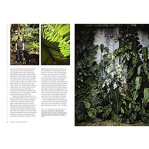 Terrain: The Houseplant Book: An Insider’s Guide to Cultivating and Collecting the Most Sought-After Specimens