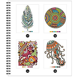 Brain Games - Color by Number: Stress-Free Coloring (Pink)