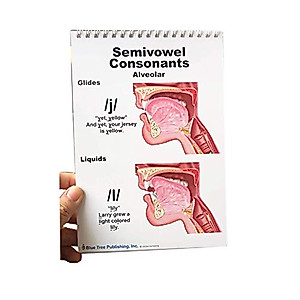 Speech Articulation Anatomy Flip Charts