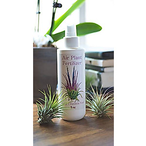 Tillandsia Air Plant Food | Fertilizer Kit with Spray Bottle and Mister | Encourages Air Plants to Bloom with Formulated Nutrients by Aquatic Arts