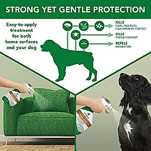 Vet's Best Flea and Tick Home Spray | Flea Treatment for Dogs and Home | Plant-Based Formula | 32 Ounces, 2 Pack