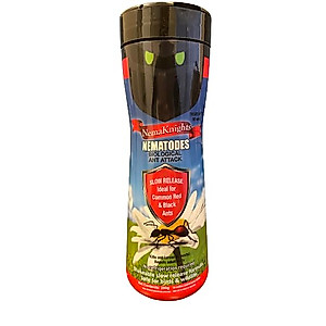 Nema Globe 4004440 NemaKnights Biological Ant Attack Insecticide