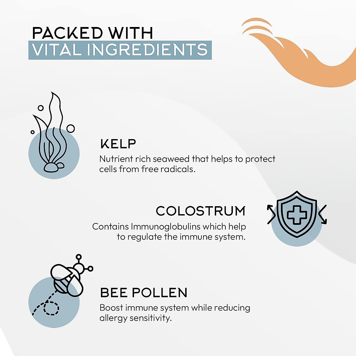 Gnawty Bites Allerg-Ease | Dog Allergy Supplement, Soothes Irritation & Inflammation | Immune Support, Itch & Seasonal Allergy Relief with Kelp, Colostrum, & Bee Pollen, 120 Soft Chews